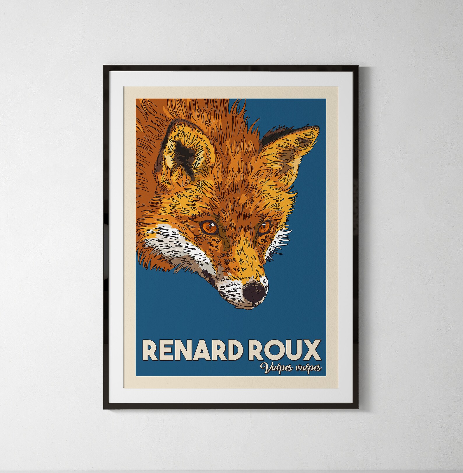 Renard roux, illustration animaux, affiche naturaliste, affiche enfant ...