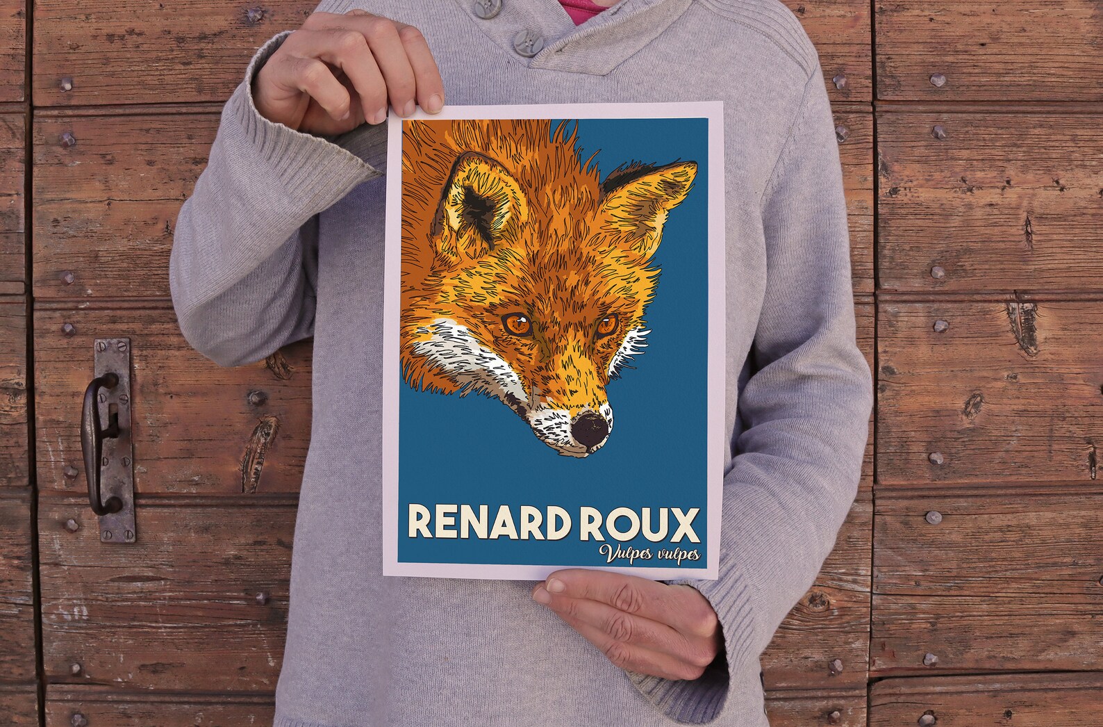 Renard roux, illustration animaux, affiche naturaliste, affiche enfant ...