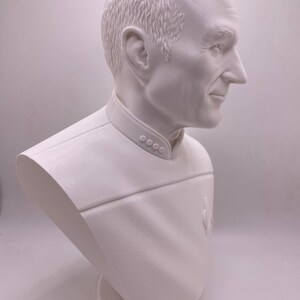 Captain Picard | Star Trek: the Next Generation | Fan Art | Sculpture ...