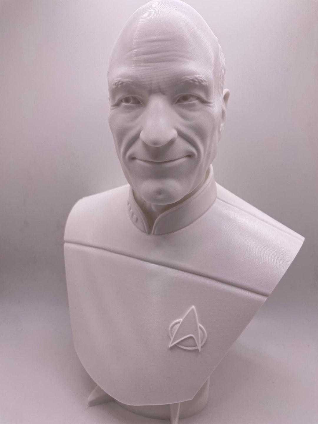 Captain Picard | Star Trek: the Next Generation | Fan Art | Sculpture ...