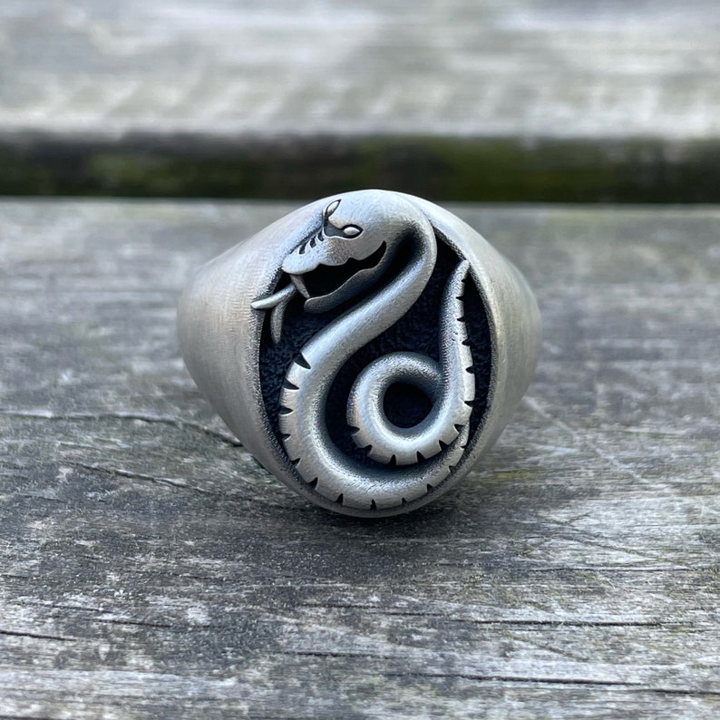 Draco Malfoy Family Slytherin Silver Ring Gift to Best Friend - Etsy