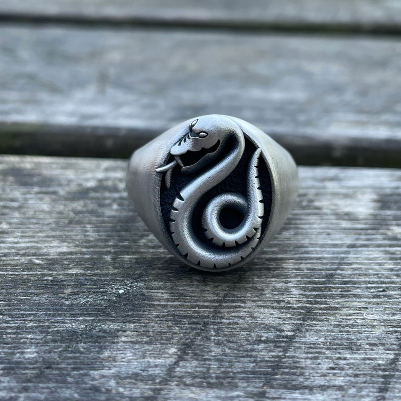 Draco Malfoy Family Slytherin Silver Ring Gift to Best Friend - Etsy