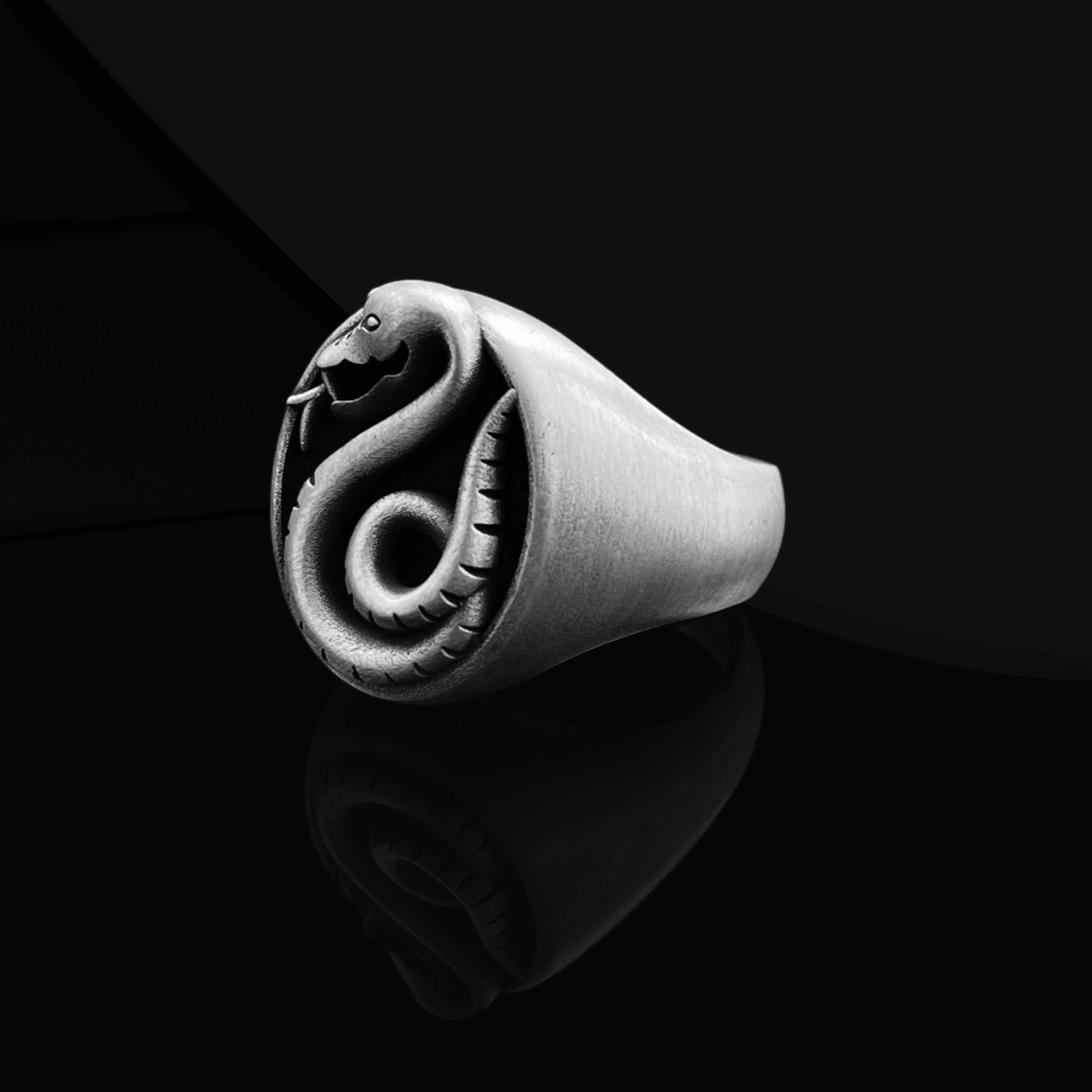 Hogwarts Familie Draco Malfoy Slytherin Silber Ring Geschenk fur den besten Freund Slytherin Schlange Ring Manner Frauen Geschenk Ring Malfoy Silber Ring Geschenke Etsy