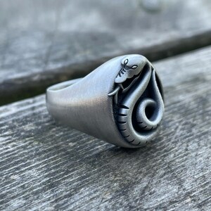 Draco Malfoy Family Slytherin Silver Ring Gift to Best Friend, Hogwarts ...