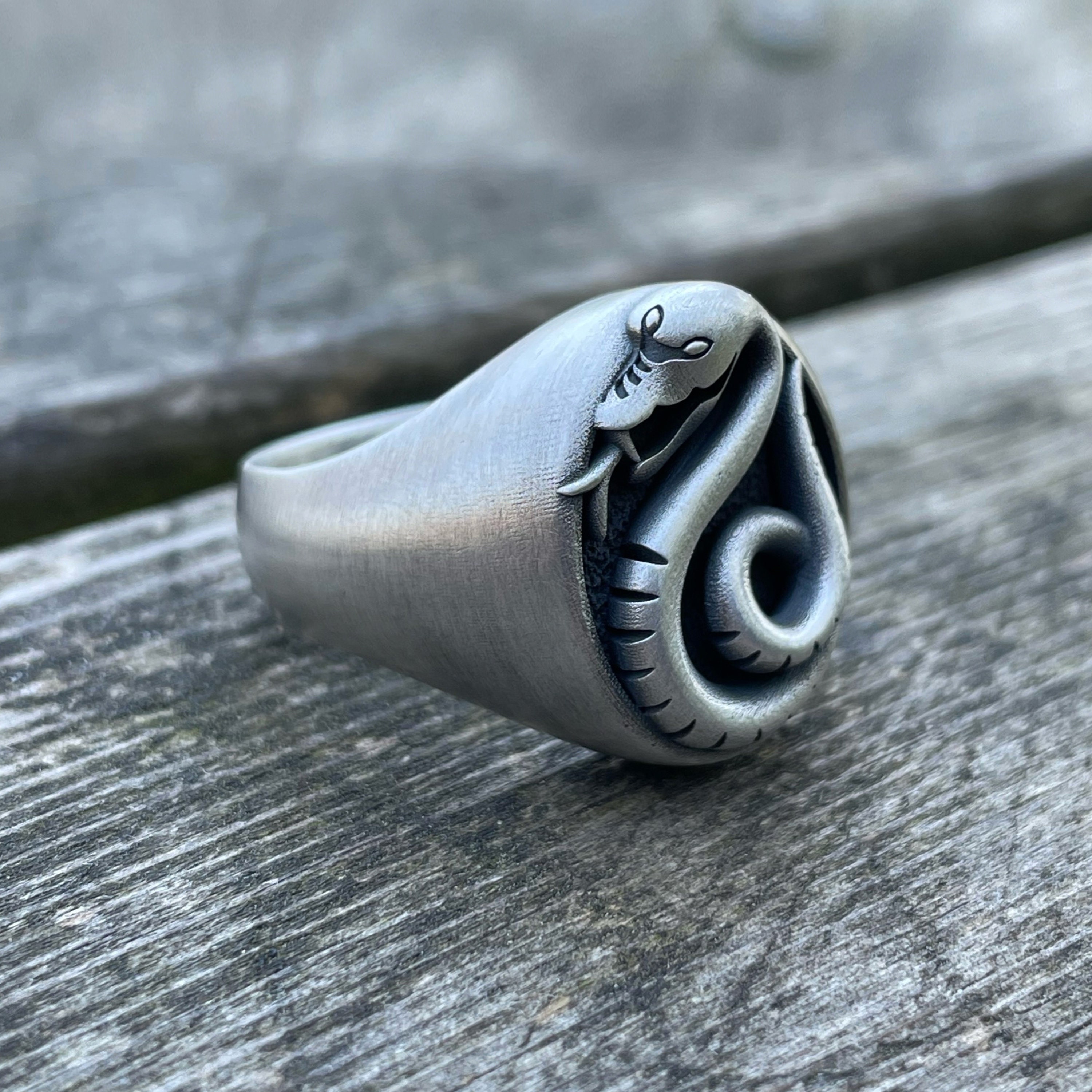 Draco Malfoy Family Slytherin Silver Ring Gift to Best Friend - Etsy