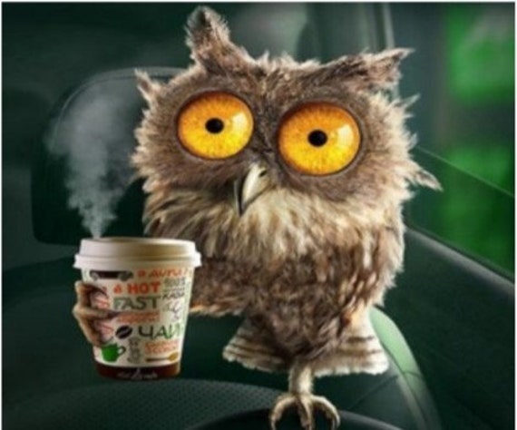 Diamond Art Painting With Diamonds Kit for Kids and Adults | Etsy