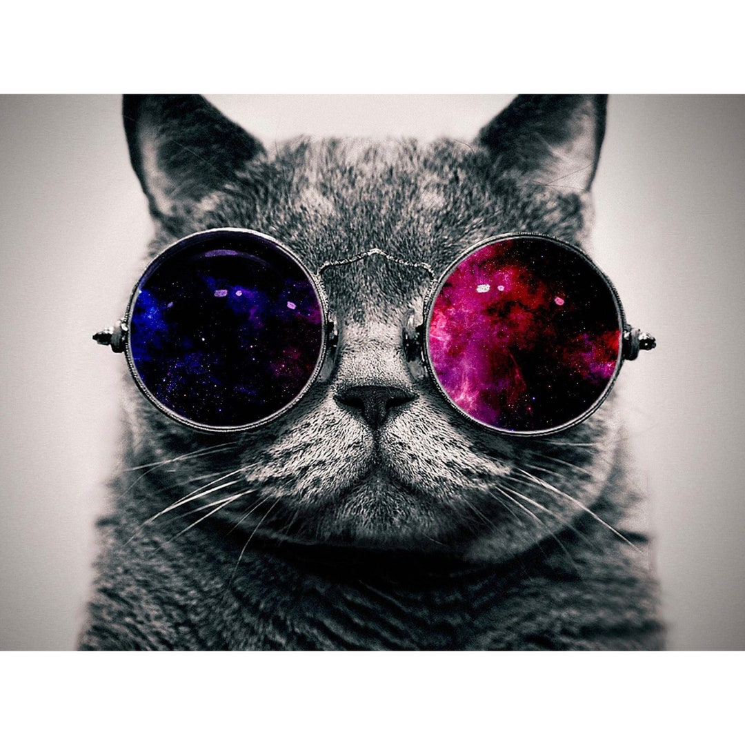 Diamond Art, Painting With Diamonds, Kids and Adults, Multiple Sizes, Great DIY Hobby or Gift ...