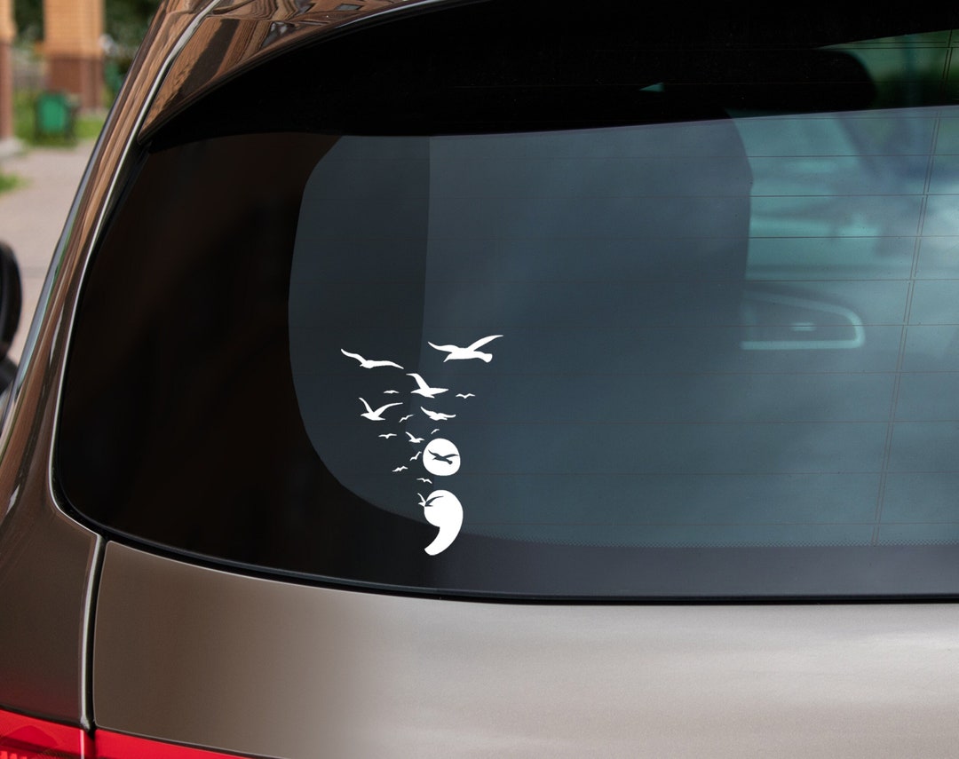 Bird Semicolon This is Not the End Transformation ( Metamorphosis ...