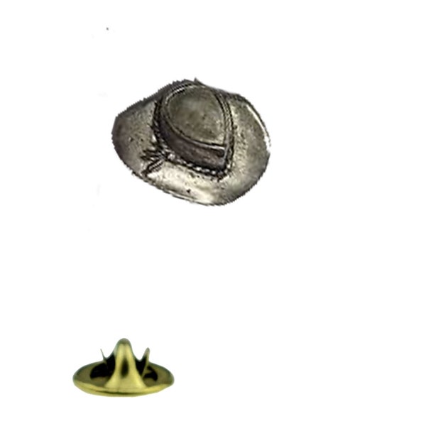 Stetson Hat Pin - Etsy