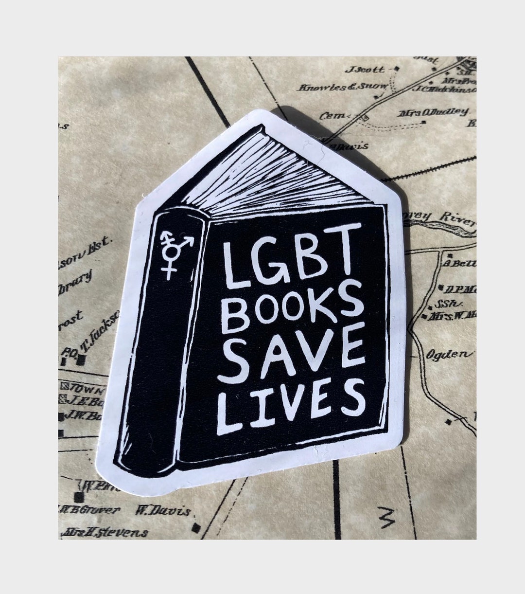 LGBT Books SAVE LIVES 3 Vinyl Sticker - Etsy