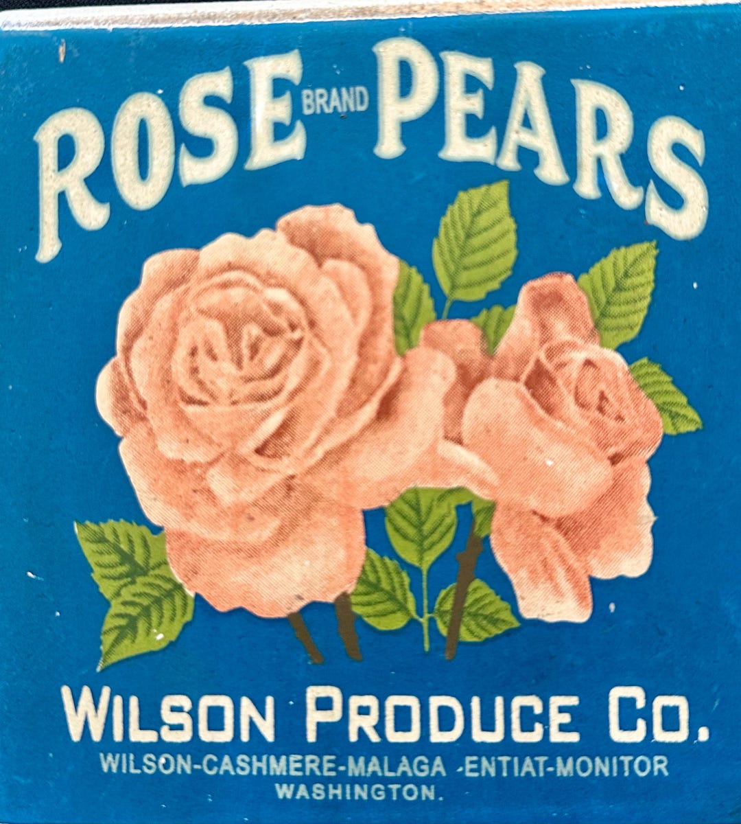 Vintage Rose Pears Ceramic Tile: Wilson Produce Co. Floral Decor - Etsy