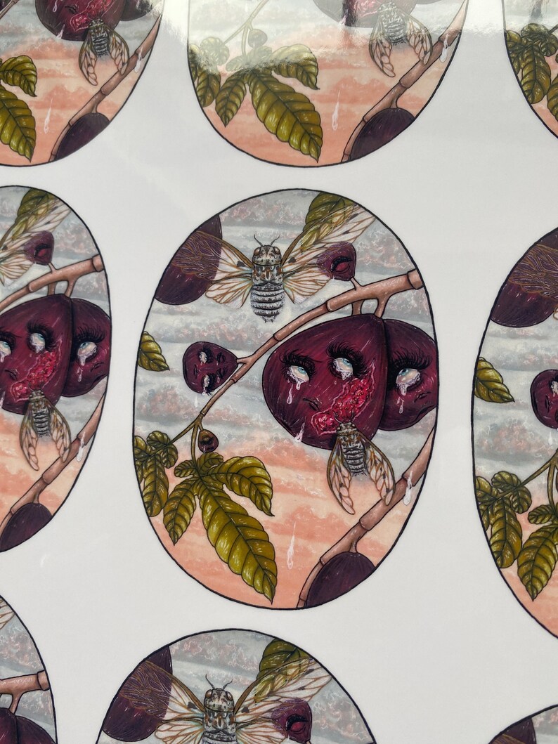 3.5 Inch Figs and Cicadas Sticker - Etsy