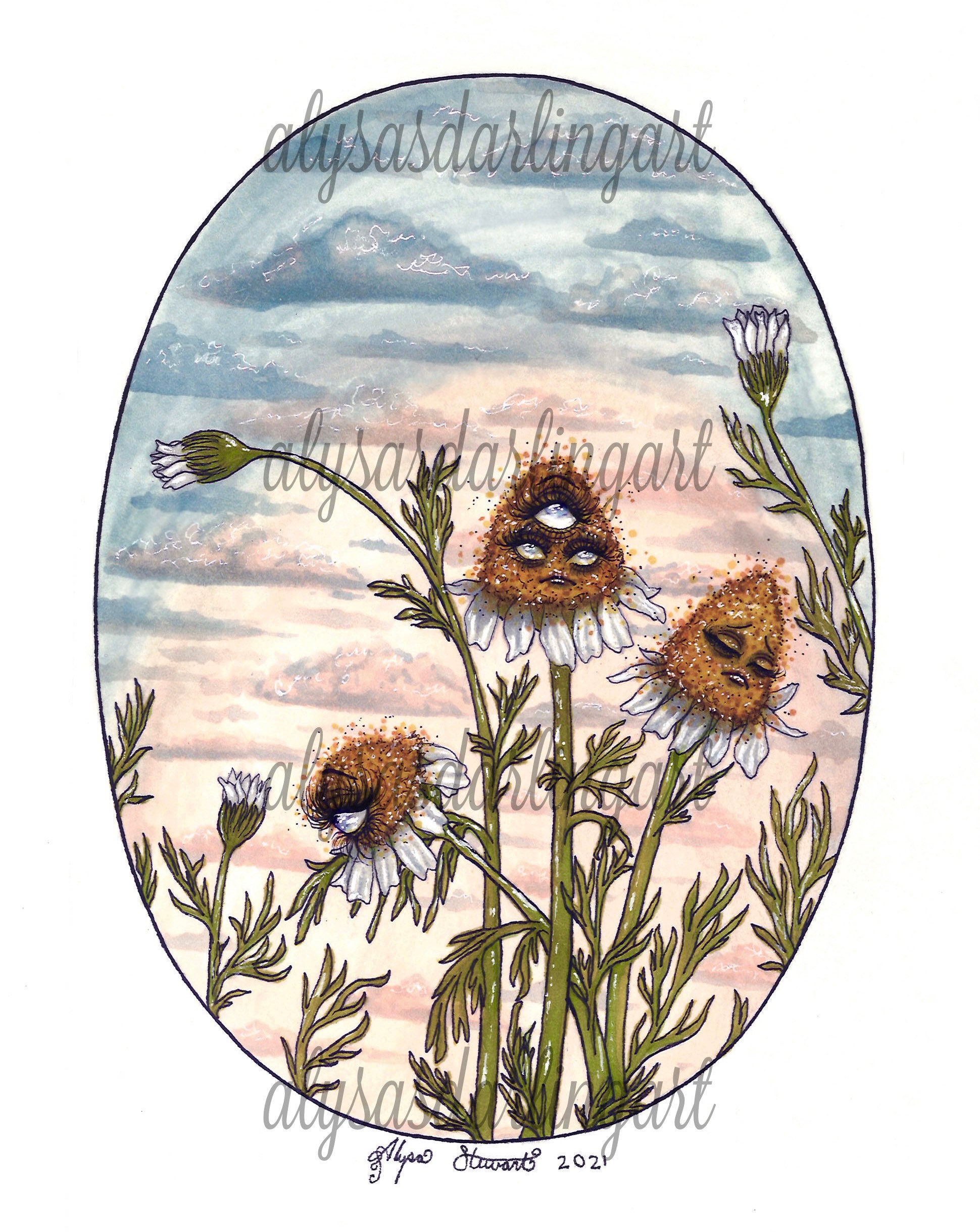 Drawing & Illustration Art & Collectibles Comfortless Chamomile art ...