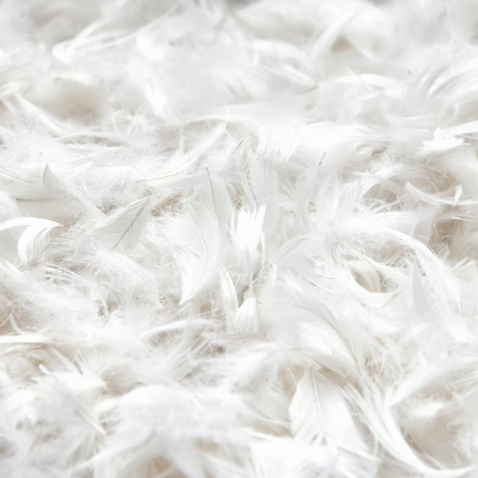 Duck Feather Stuffing Filling for Cushions Pillows and Toys Sofa ...