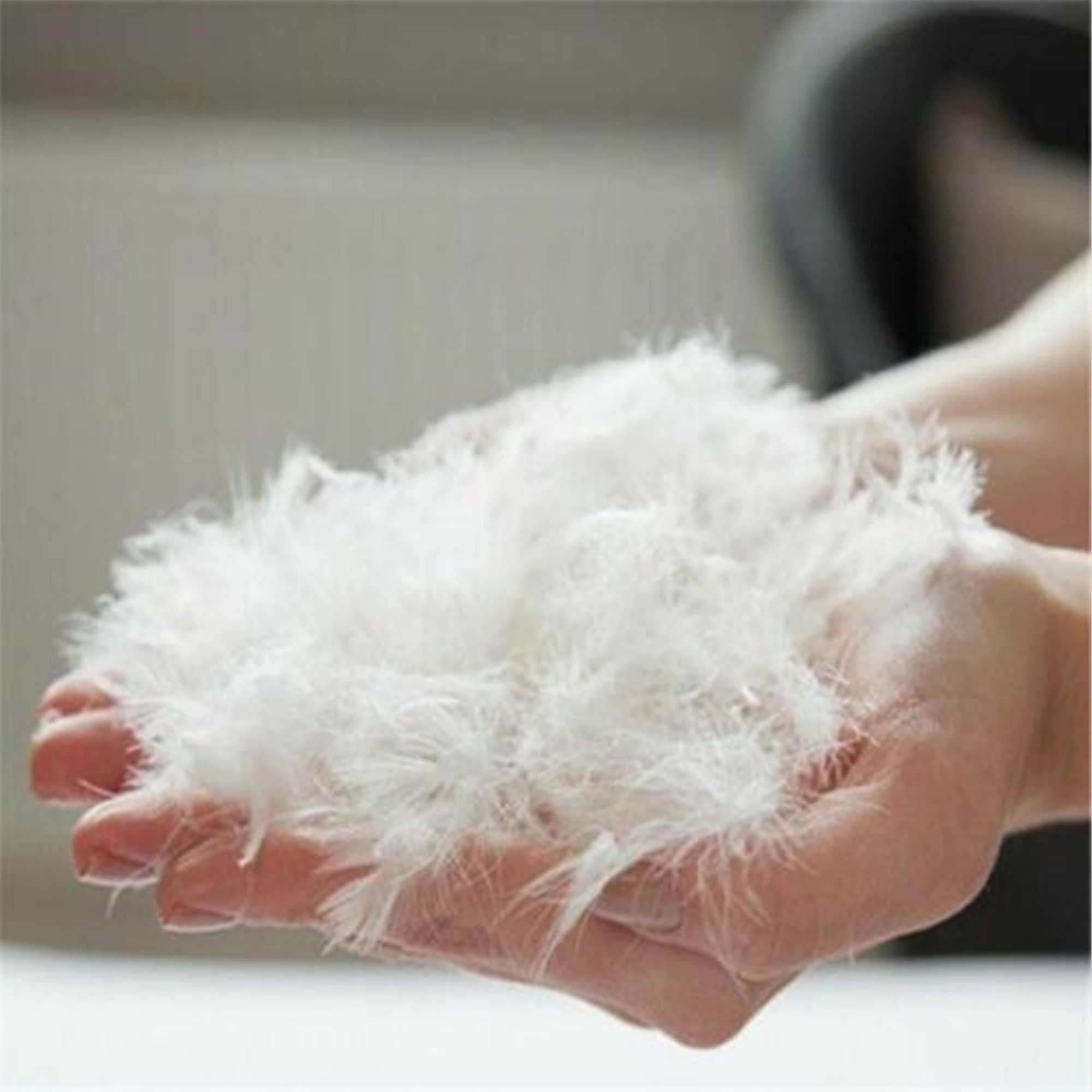 Duck Feather Stuffing Filling for Cushions Pillows and Toys Sofa ...