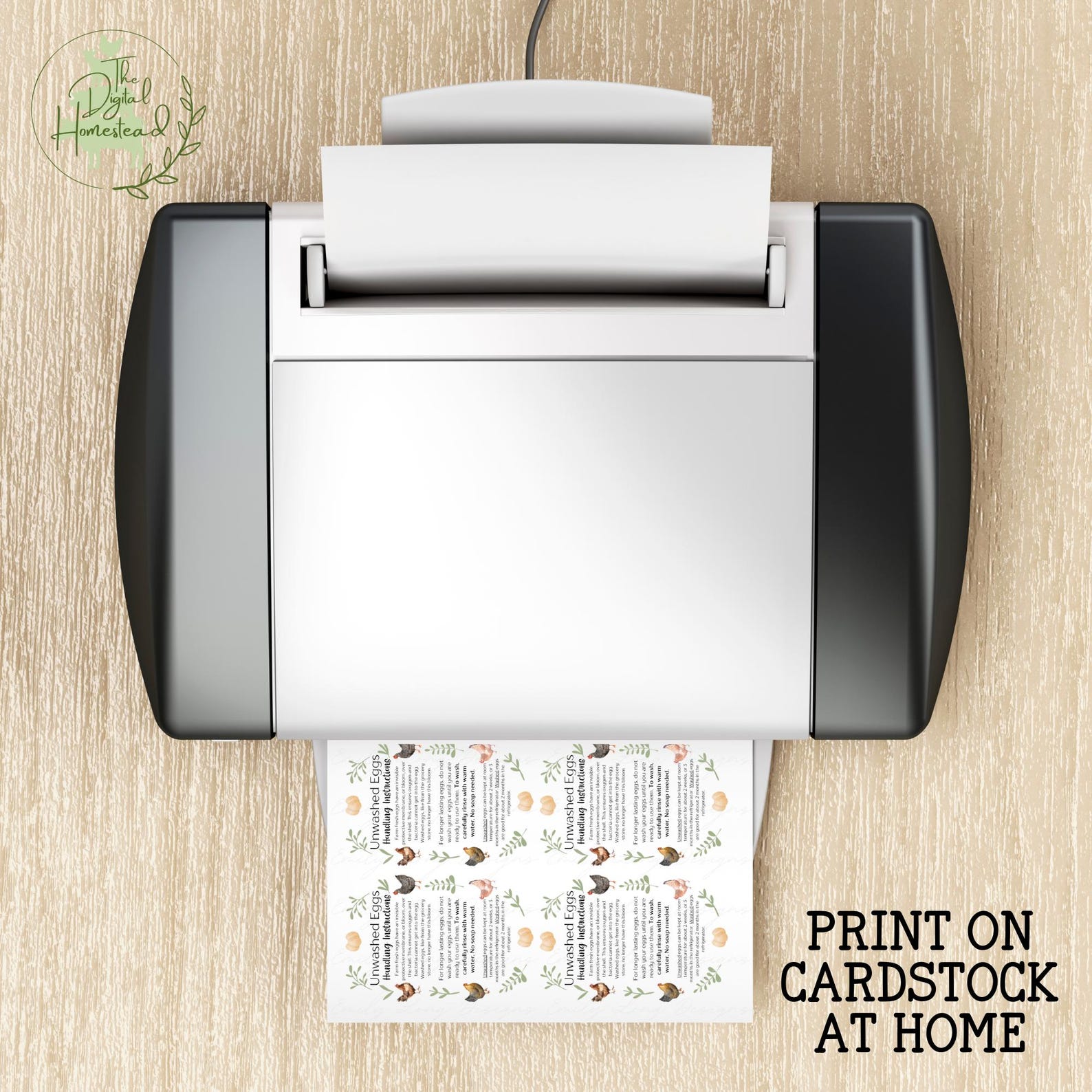 Egg Handling Instructions Printables | Printable Egg Carton Labels ...