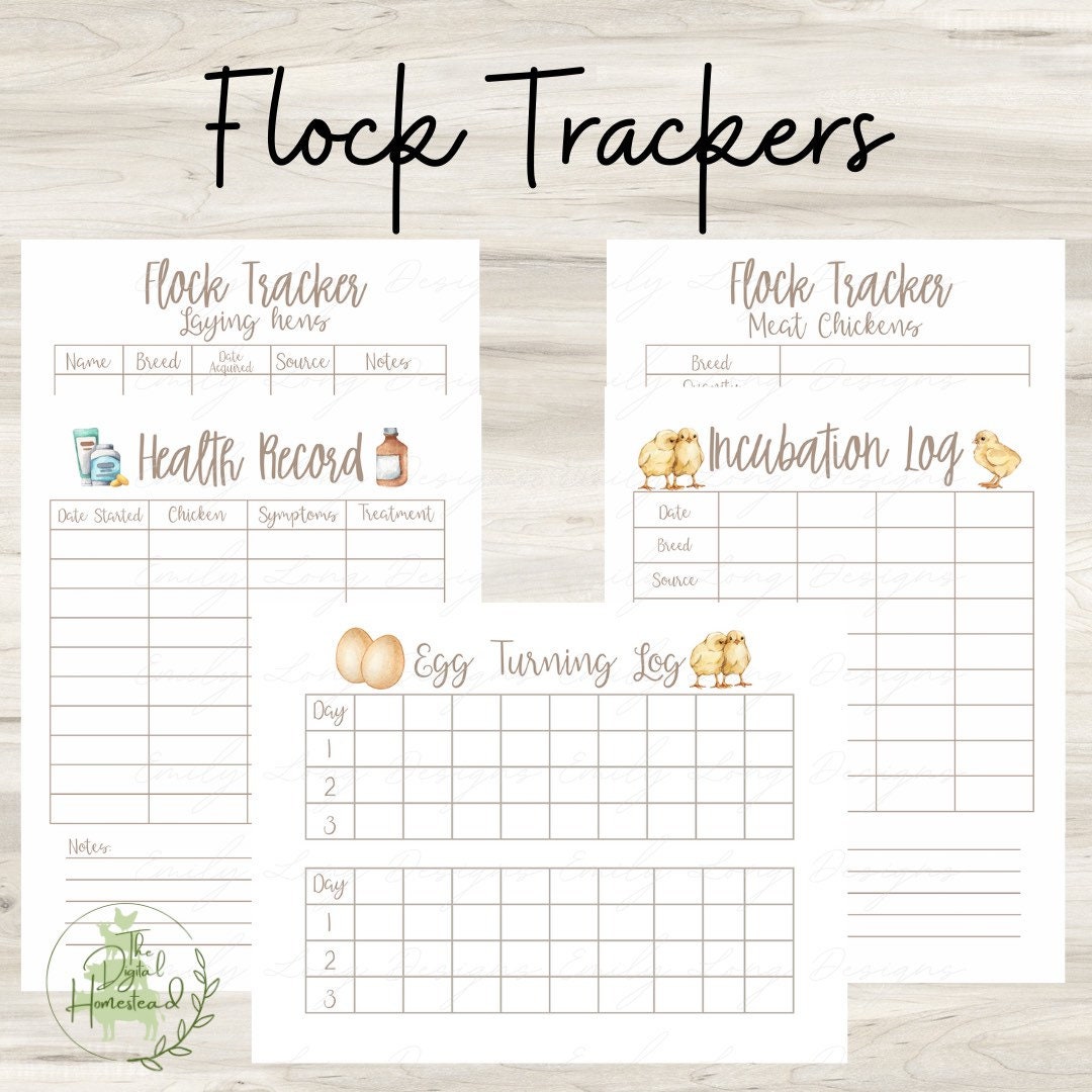 Backyard Chicken Journal | Printable Chicken Record Keeping Journal ...