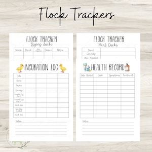 Backyard Duck Journal | Printable Duck Record Keeping Journal | Duck ...