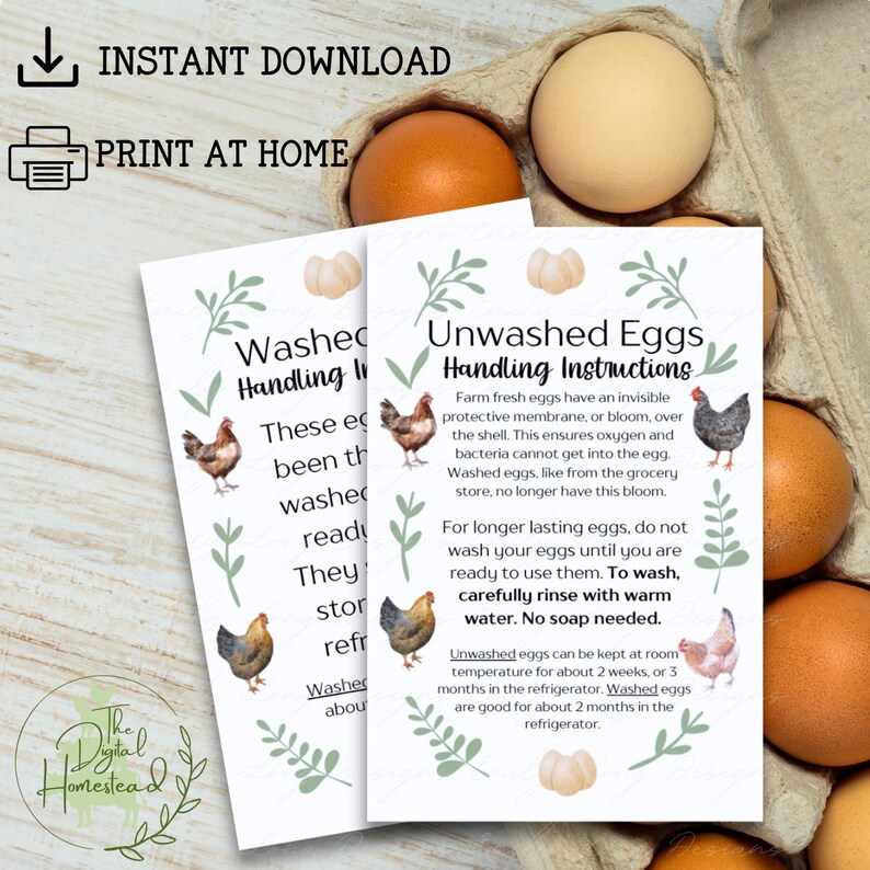 Editable Egg Carton Label | Printable Egg Handling Instructions | Canva ...