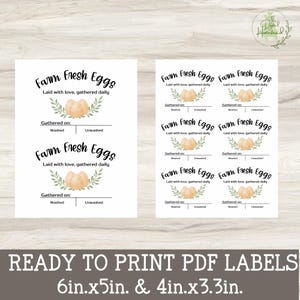 Printable Egg Carton Labels and Egg Handling Instructions Printables ...