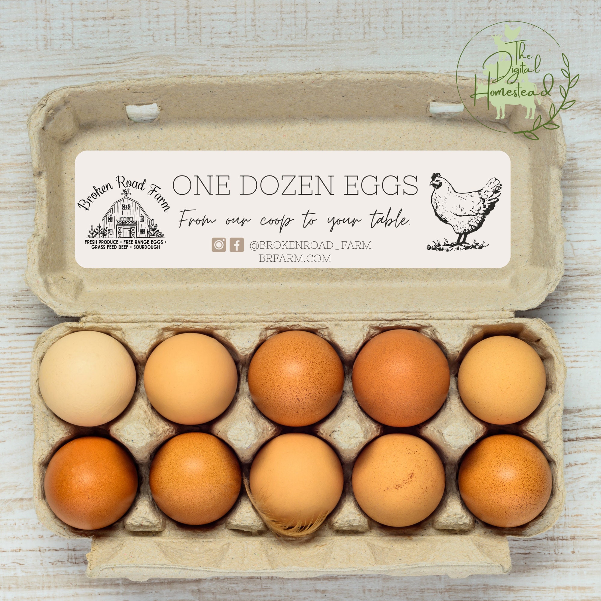 Egg Carton Label Bundle | Canva Template for Egg Carton Label ...