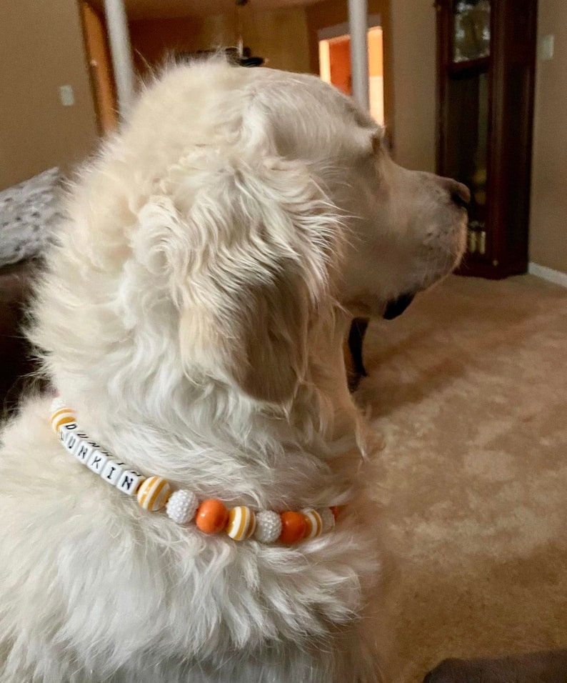Coral Reef Beaded Dog Collar With Name, Pastel Acrylic Dog Pearl ...