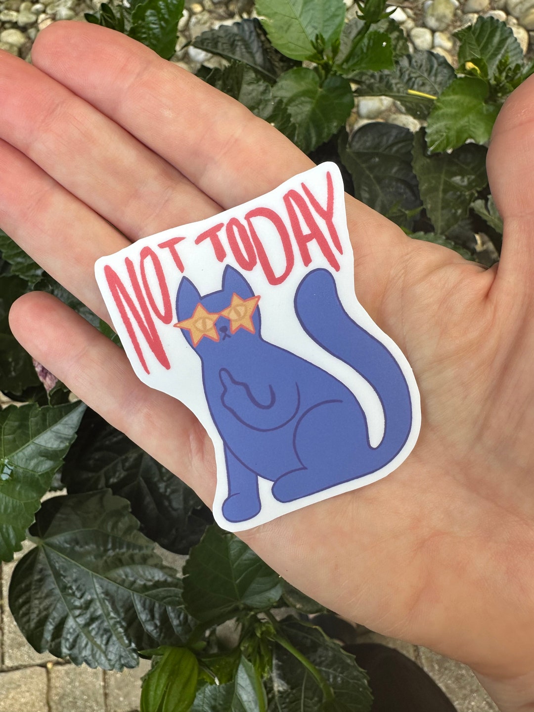 Not Today Cat Sticker, Waterproof Scratch Resistant, Comical Kitty Cat ...