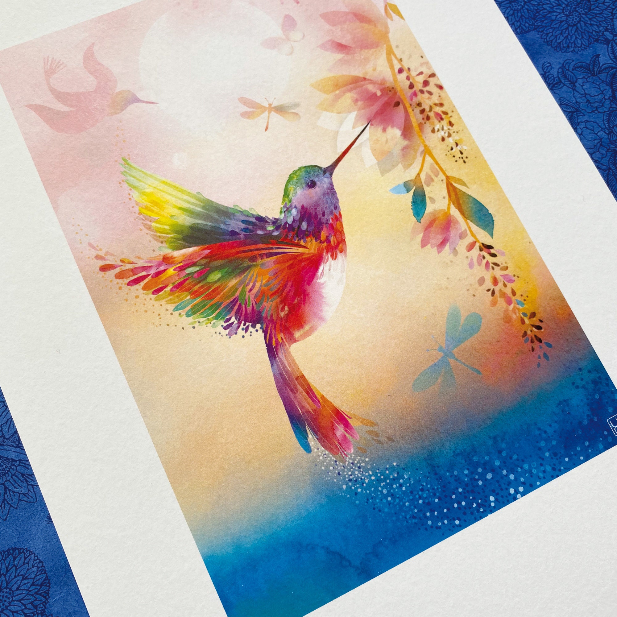 Affiche A4 Colibri Print illustration A4 Colibri - Etsy France