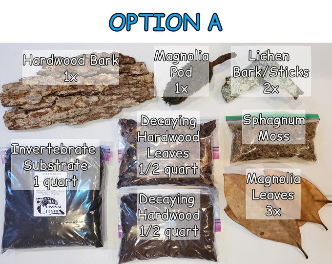 ULTIMATE INVERTEBRATE KIT (w/out Bin!) Deluxe Isopod/millipede Supplies ...