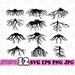 12 Tree Roots Bundle Svg Roots Svg Tree Roots Png Roots Cut Files ...