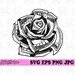 Rose Dollar Bill Svg, Floral Money Pattern Clipart, Flower Money ...