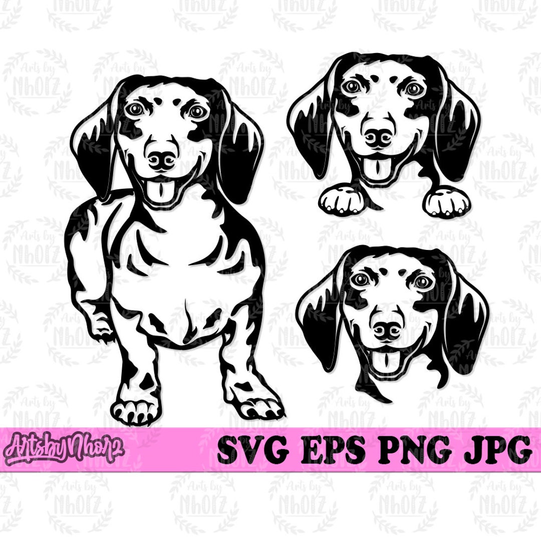 Dachshund Svg, Dachshund Bundle Svg, Peeking Dog Svg, Peeking Dachshund ...