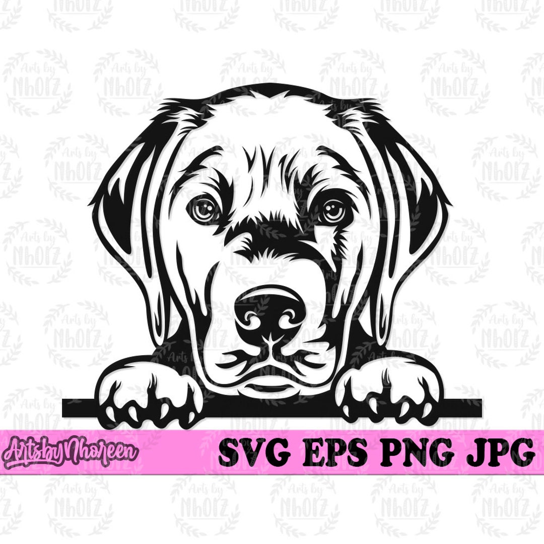 Peeking Labrador Svg, Cute Dog Clipart, Puppy T-shirt Design Png, Vet ...