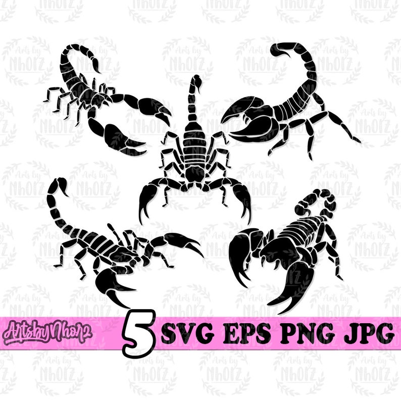 Scorpion Bundle Svg Scorpion Clipart SVG Bundle Scorpion | Etsy