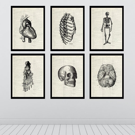 Vintage Anatomy Digital Prints DIGITAL Download Printable | Etsy