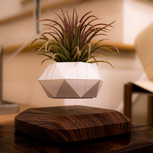 Floating Magnetic Planter - Etsy