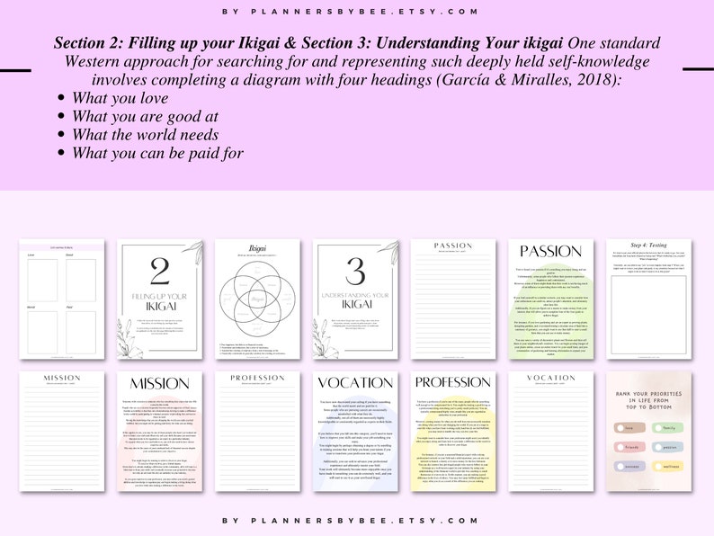Ikigai Workbook Best Work & Career Planner Professional - Etsy