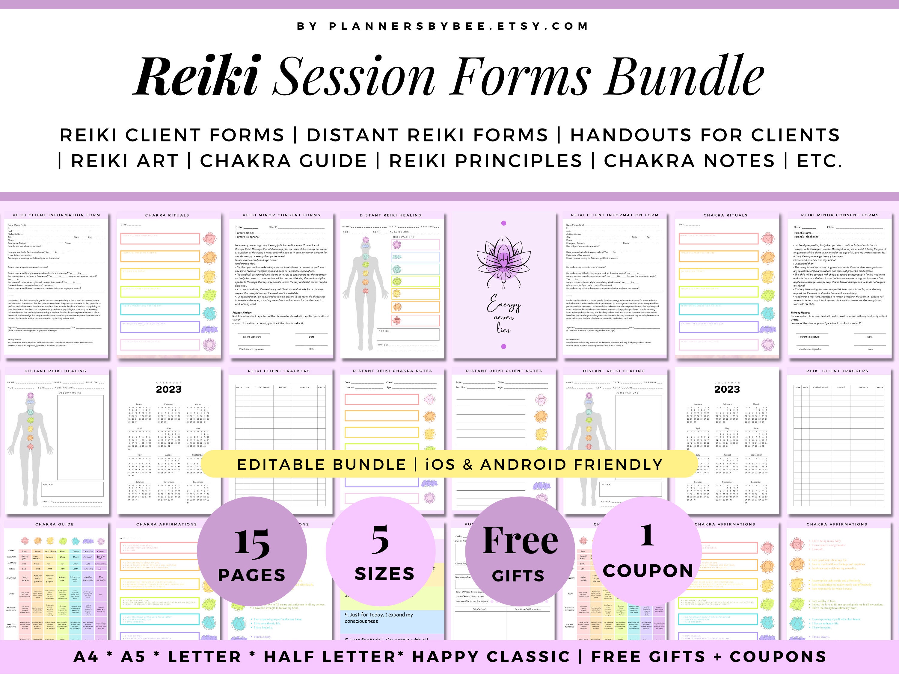 Reiki Post-session Form Bundle, Reiki Session Form Bundle, Reiki Post ...