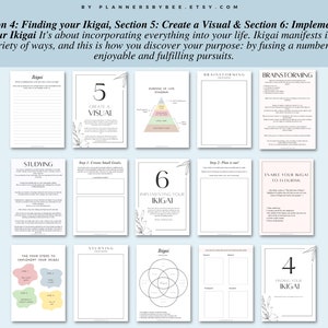 Ikigai Workbook, Best Work & Career Planner, Professional Worksheet ...