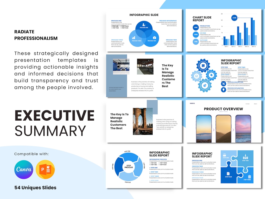 Executive Summary Infographics Powerpoint Template Template for ...