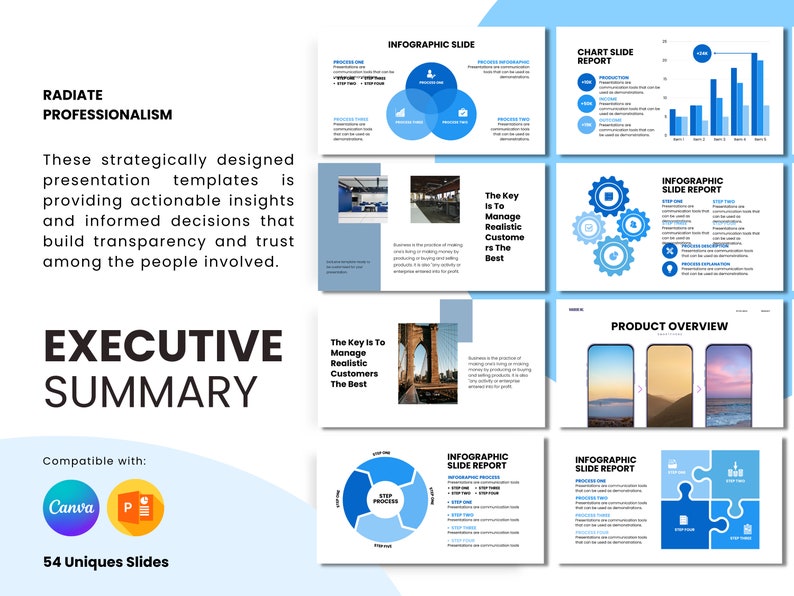 Executive Summary Infographics Powerpoint Template Template for ...