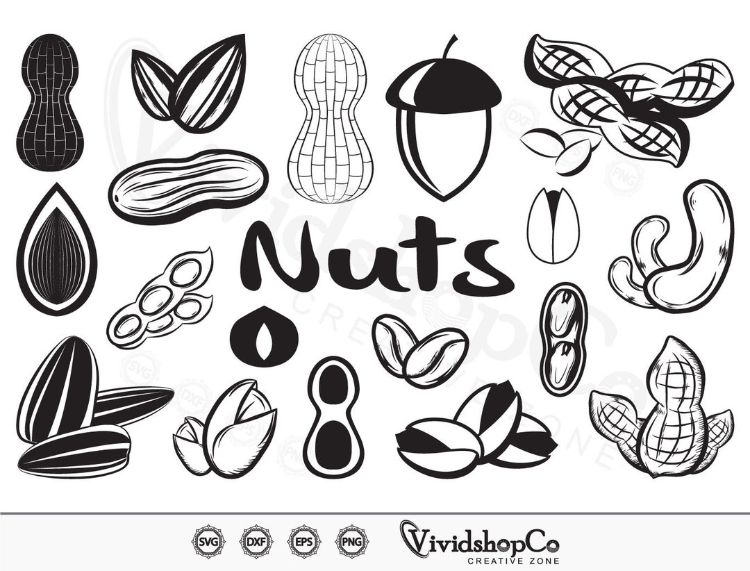 Nuts SVG, Peanuts Svg, Love Svg, Clipart, Cut Files for Silhouette ...
