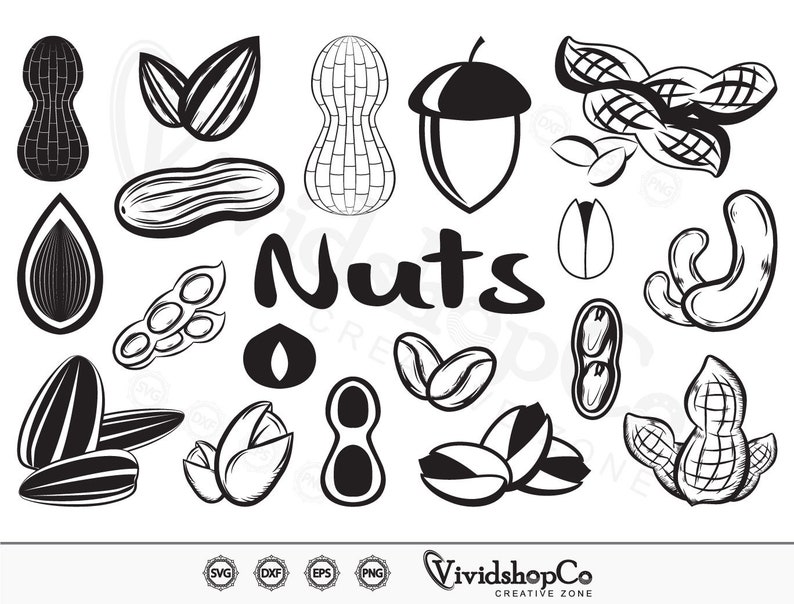 Nuts SVG Peanuts Svg Love Svg Clipart Cut Files for - Etsy Australia