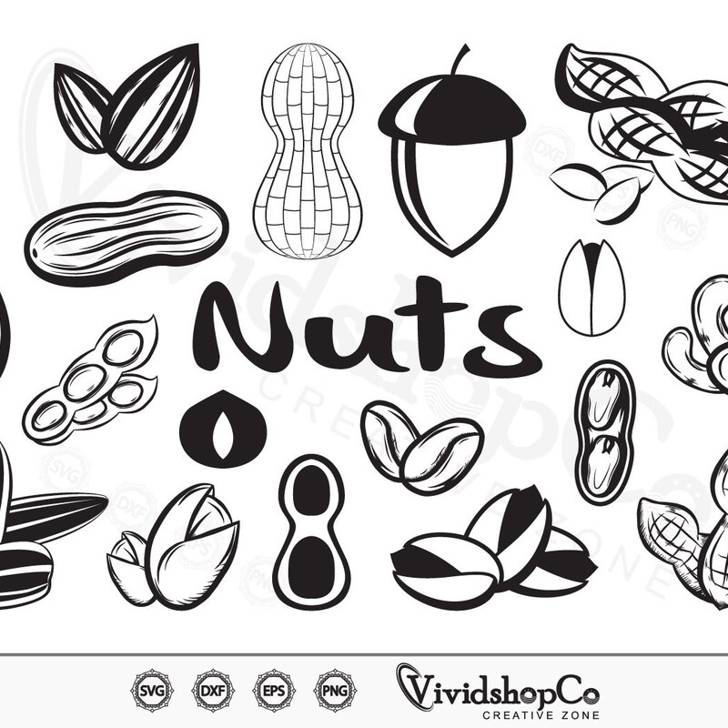 Peanuts Svg - Etsy