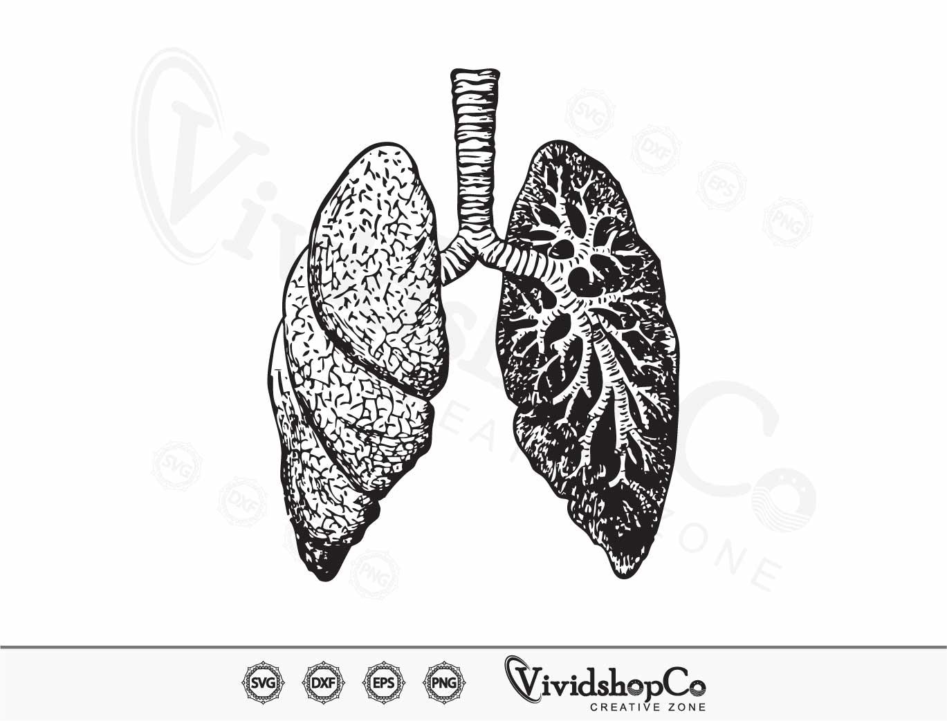 Lung SVG, Medical Image Svg, Human Lung Svg, Bronchial Svg, Clipart ...
