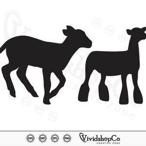 Show Lamb SVG, Market Lamb Svg, Sheep Svg, Show Sheep Svg, Clipart, Cut ...