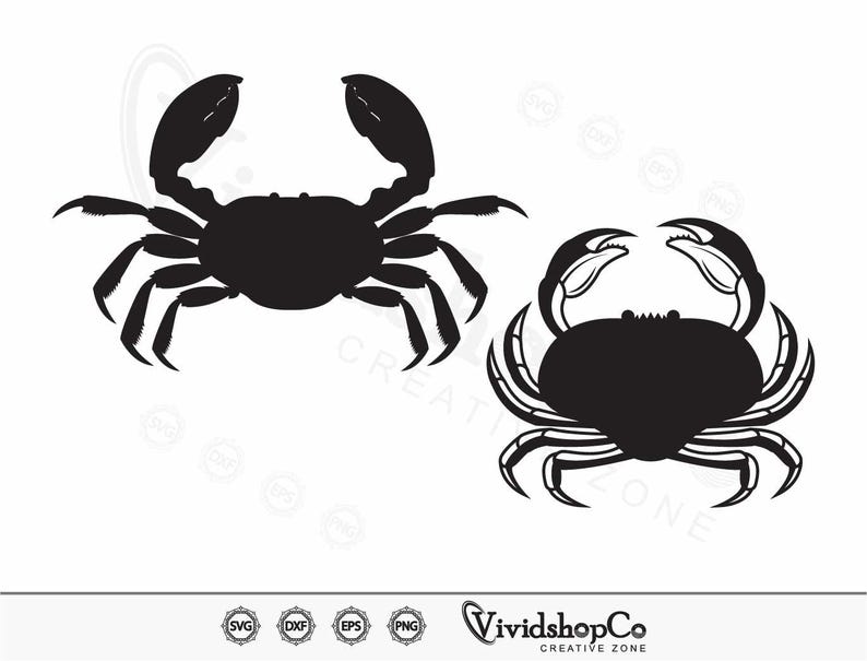 Crab SVG, Sea Animals Svg, Ocean Svg, Summer Svg, Beach Svg, Clipart ...