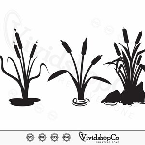Cattail SVG, Grass Svg, Bulrush Plant Svg, Cattail Flower Svg, Clipart ...