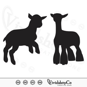 Show Lamb SVG, Market Lamb Svg, Sheep Svg, Show Sheep Svg, Clipart, Cut ...