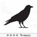 Corbeau SVG, svg Corbeau, des cliparts, des fichiers coupés pour la ...